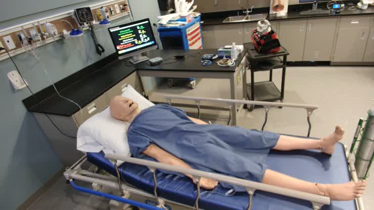 Rapid Assessment Demo