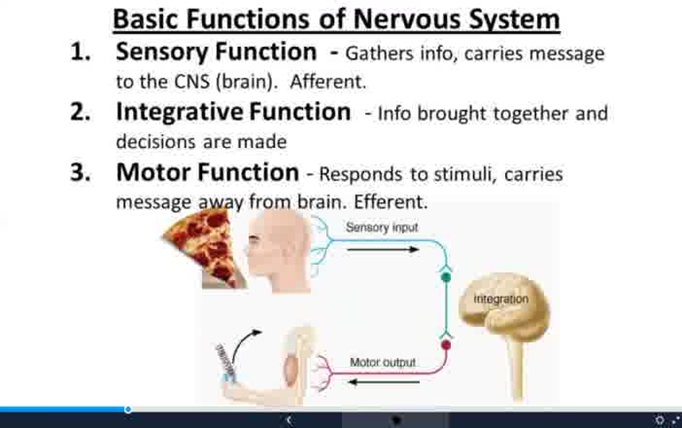 Lea Hoffman's Zoom Meeting