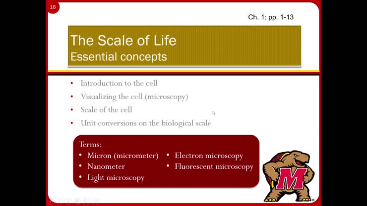 120 Lecture Scale of Life Part 1
