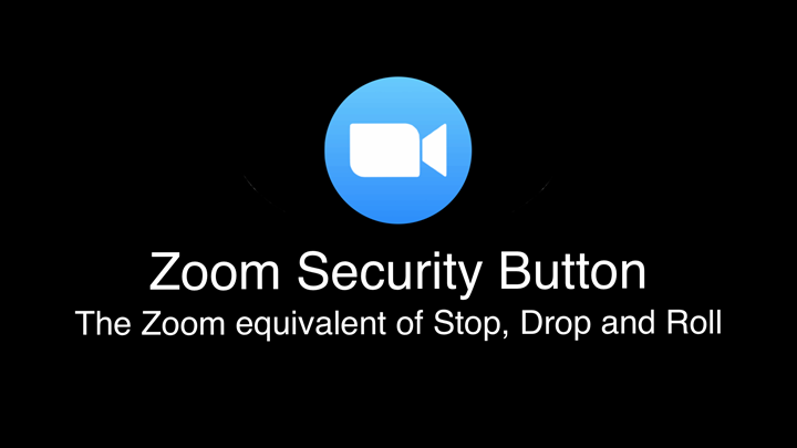Zoom: Security Button
