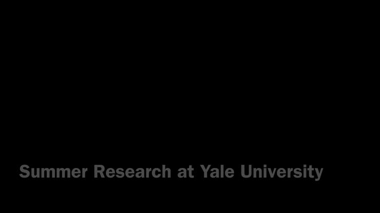 Jamie Nguyen - Pyle Lab