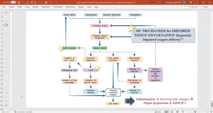 Sgambelluri: Circulatory Shock Pathophysiology