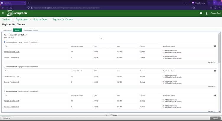 Block Troubleshooting
