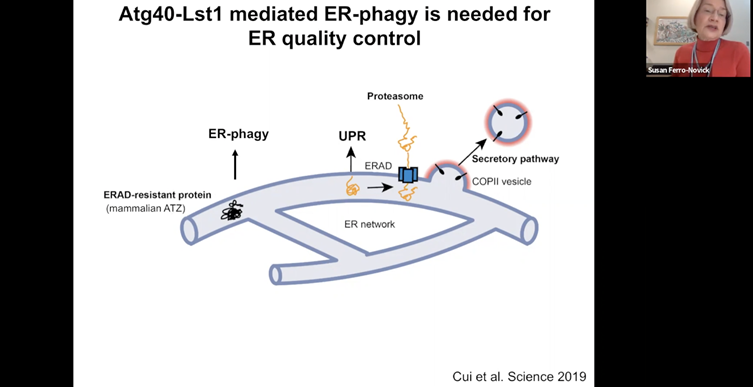 Susan Ferro-Novick- 03/09/2022