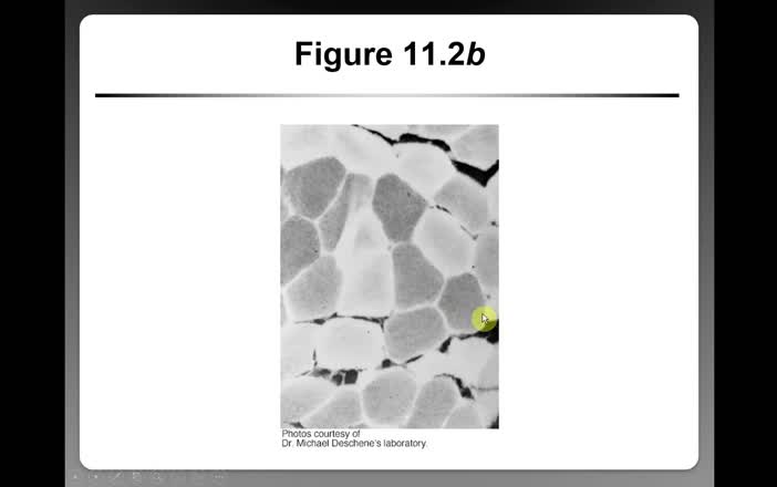 EP Chapter 11 Part 2