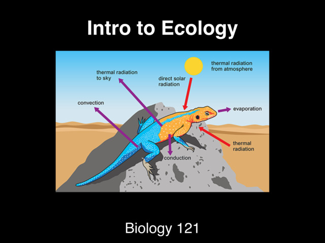 Ecology Intro Lecture
