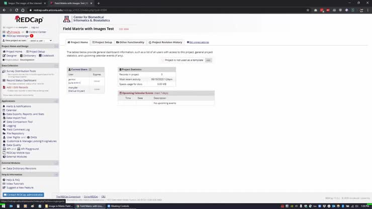 redzone-field-embedding-feature