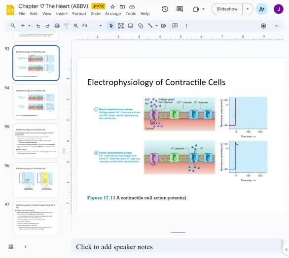 Chapter 17 the heart pt 3