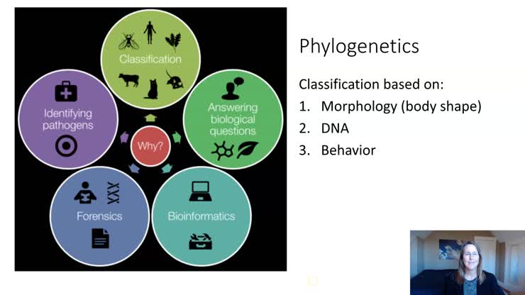 Phylogenetics_1