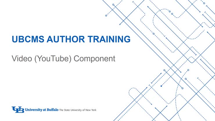 Video (YouTube) Component (Flex UI)
