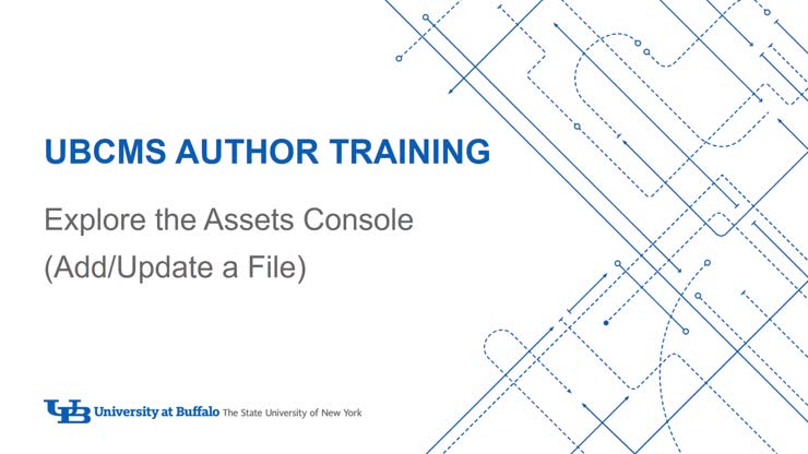Explore the Assets Console (Add/Update a File) (Flex UI)