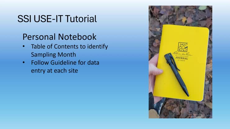 USE_IT Initial Tutorial
