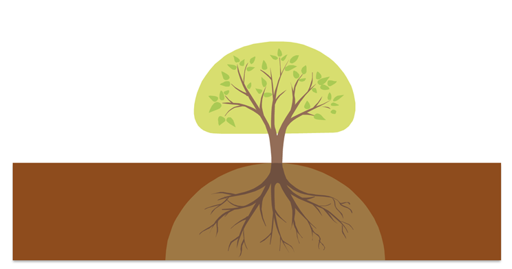 Tree & Carbon Activity