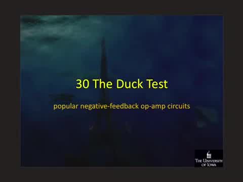 30 The Duck Test