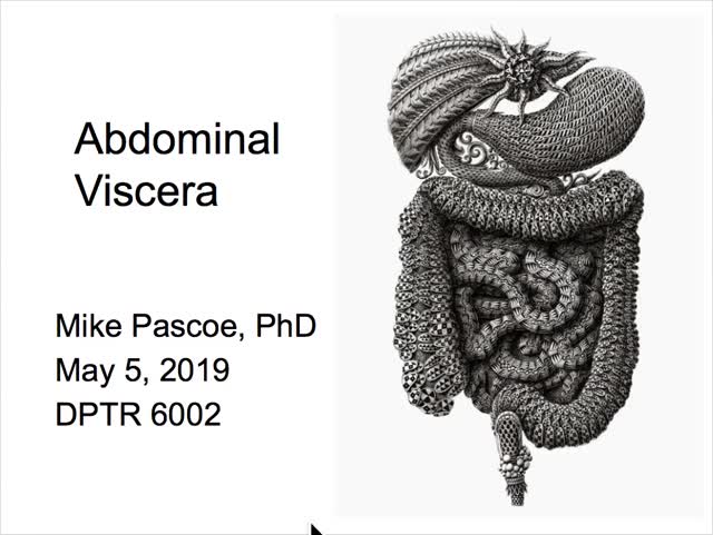 Abdominal Viscera