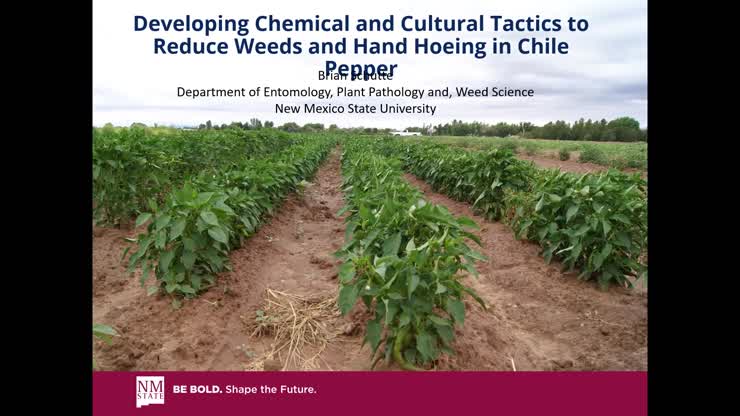 4- Dr. Brian Schutte- Developing Chemical and Cultural Tactics to ...