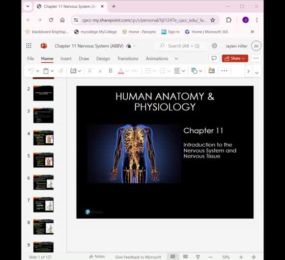 Chapter 11 Nervous System pt 1