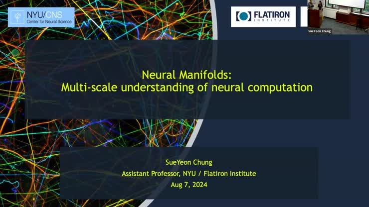Neural Manifolds: Multi -scale understanding of neural computation