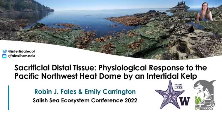 258_Sacrificial Distal Tissue: Physiological Response to the PNW Heat ...