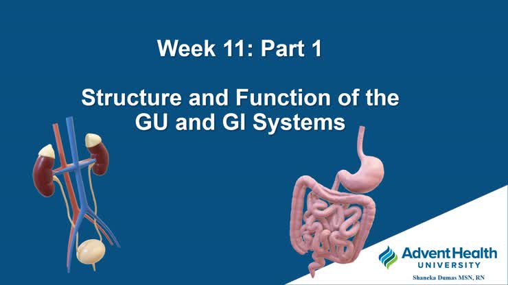 Week 11- Part 1- Structure and Function of the GU and GI