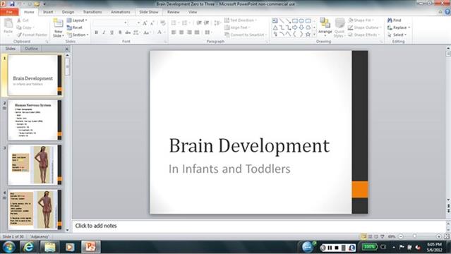 Brain Development Infants and Toddlers
