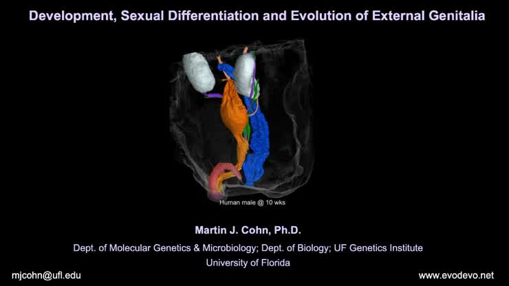 Seminar Series - Martin Cohn