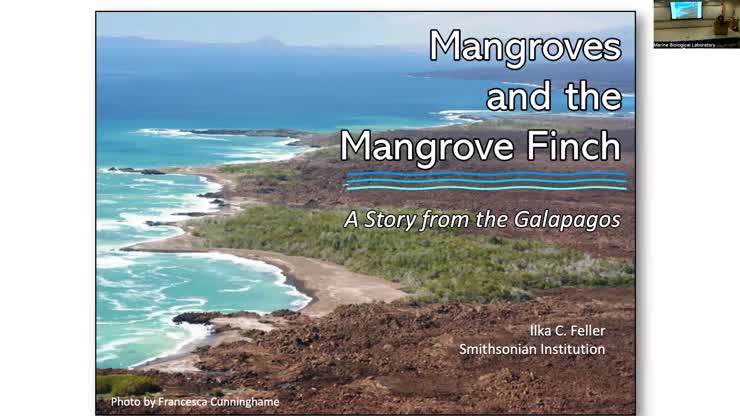 Distinguished Scientist Seminar Series: "Mangroves and the Mangrove ...