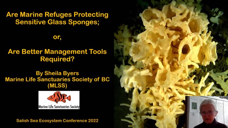 176_Are Marine Refuges Protecting Sensitive Glass Sponges; or, Are ...