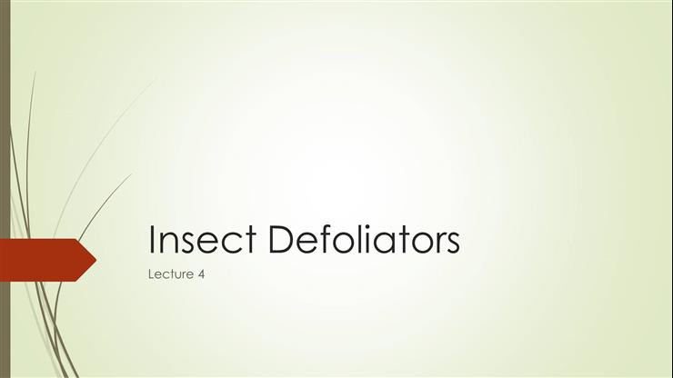 Insect defoliators Lecture 4