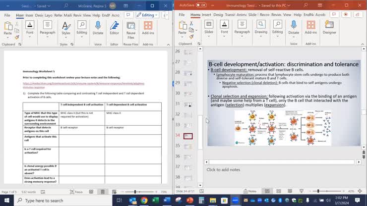 Immunology Worksheet 5 (Adaptive Immunity B cells and antibodies ...