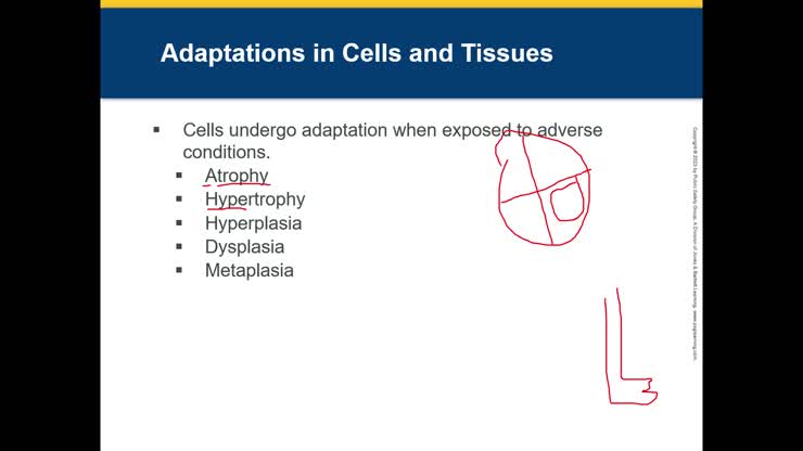 AEMT Pathophysiology P. 1