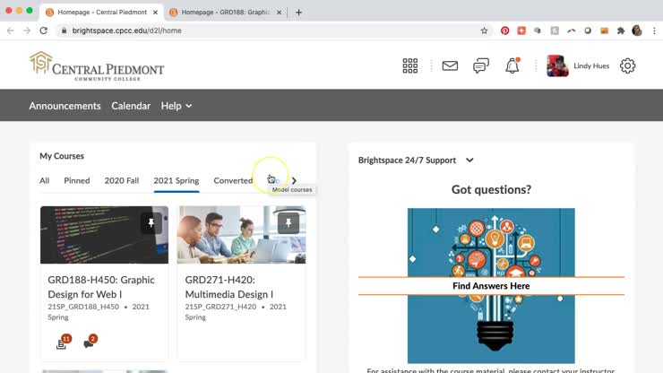 Student Overview for Brightspace