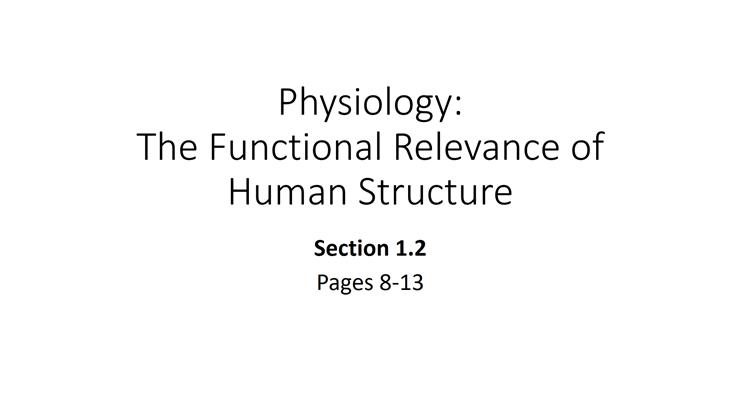 Physiology - The Functional Relevance of Human Structure