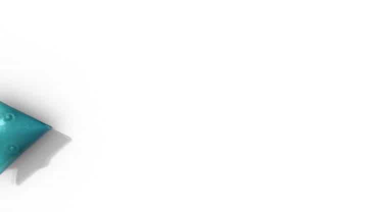 Great Transitions: The Origin of Birds