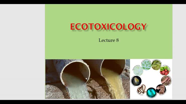 Ecotoxicology and Case Studies
