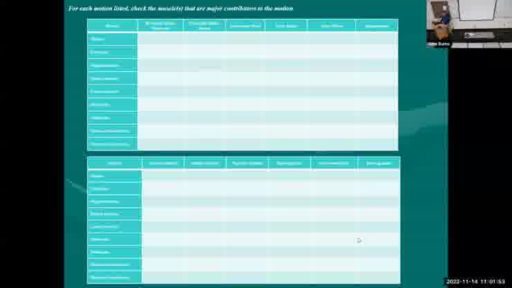 KN 321 Anatomical KN TTH Fa23