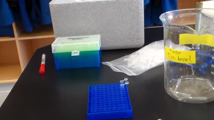 PCR - Set UP_PART 1