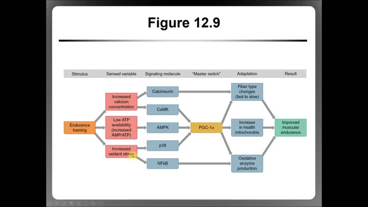 EP Chapter 12 Part 2