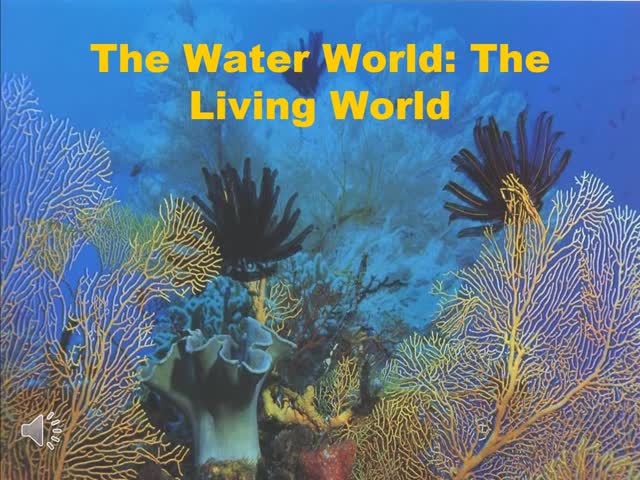 Chp1. The Water World_Living In the Sea