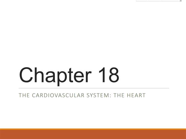 Ch 18 - Heart
