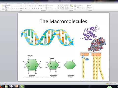 Ch. 3 Macromolecules Pt 2