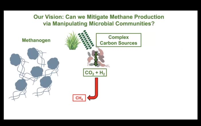 DIAL in 2/14 Faculty Seminar: George O'Toole and Klaus Keller