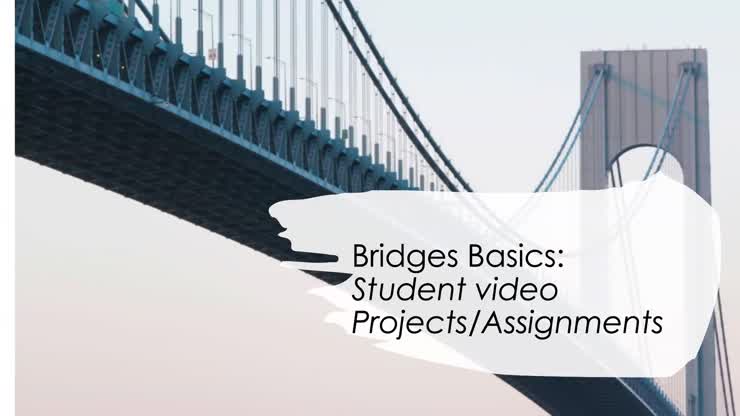 Bridges Basics: Student video Projects/Assignments