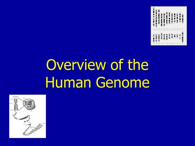 01-2 Overview of the Human Genome