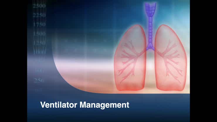 Ventilator Management