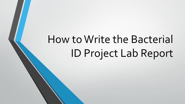 How to Write the Bacterial ID Project Lab Report