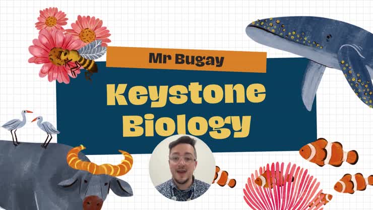 Keystone Biology 24-25