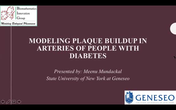 Modeling Plaque Buildup in Arteries of People with Diabetes