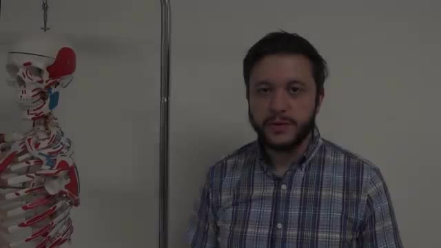 Introduction to MMT of the Hip and Knee