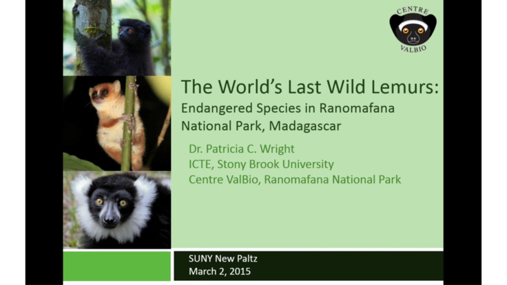 Lemur Evolution and Ecology
